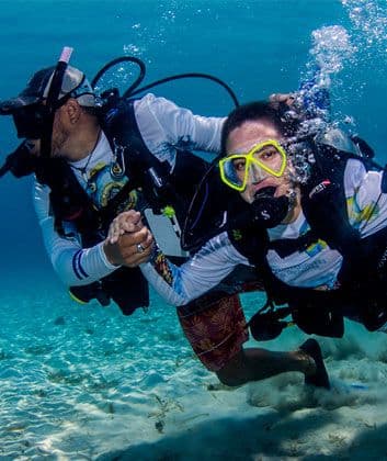 Mayan Princess | Diving Courses